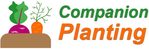Melons Companion Planting Chart - Companion Planting Chart