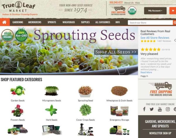 True Leaf Market Review - Companion Planting Chart